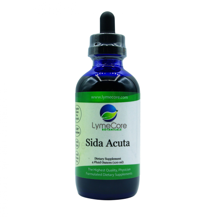 Sida Acuta – Shop Kaplan